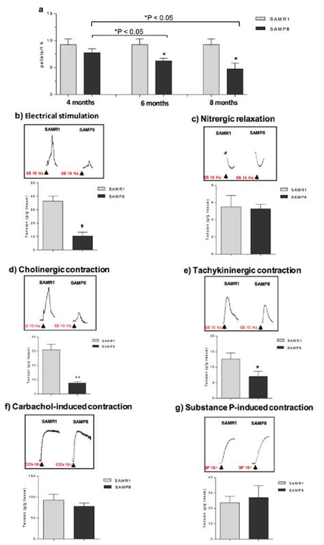 Faecal Output And In Vitro Colonic Contractile Responses A Faecal
