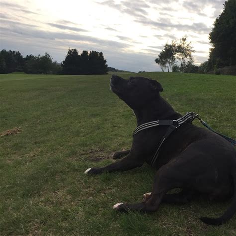 Aidromoxke2wnu0kvjhuuewrrpg3imgk2pz4ux Vfedqqwi0s900 C K C0x00ffffff No Rj