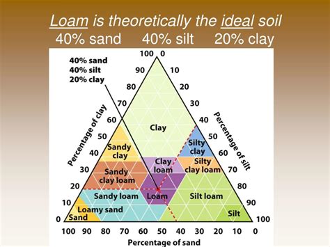 Properties Of Silt Loam Soil At Sharon Stein Blog