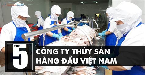 CÔNG TY THỦY SẢN HÀNG ĐẦU VIỆT NAM Báo cáo công ty