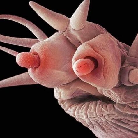 Stream Episode 108 Scary Stuff By Raisin Man Arena Podcast Listen