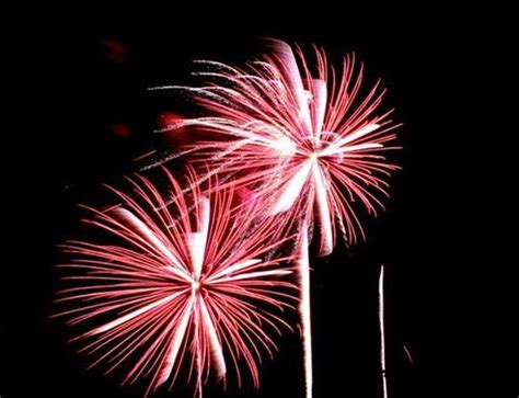 Chelly Boutott Wfrv Local 5