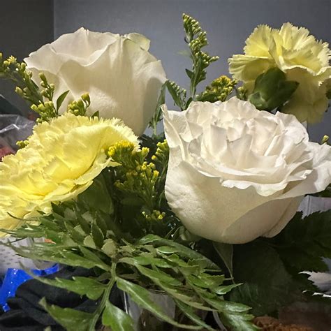 Anne M Bracker My Four Legged Partner In Crime For The Facebook