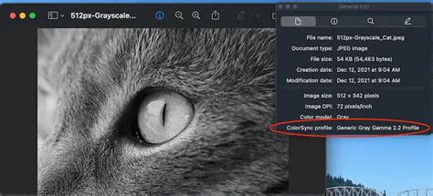 Procreate Color Wheel Stuck In Grayscale Heres What To Do Adventures With Art