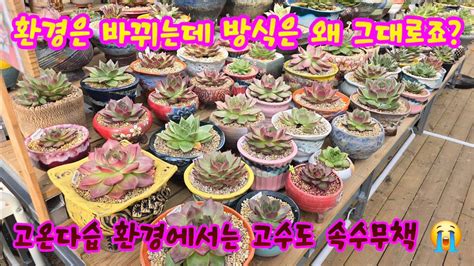 10년 20년 경력이 무색하게 급변하는 날씨에는 아무 소용이 없어요 환경이 바뀌면 그에 맞게 대처를 해주셔야 합니다 잘못된