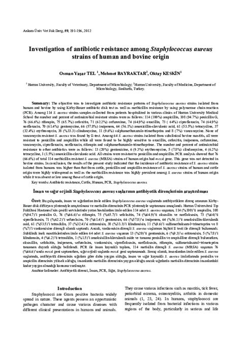 Pdf Investigation Of Antibiotic Resistance Among Staphylococcus Aureus Strains Of Human And