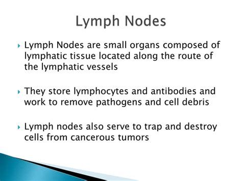 Lymphatic Immune System Terms PPT
