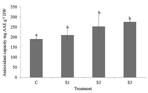 Effect Of Different Irrigation Regimes On The Antioxidant Capacity Of