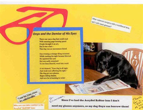 Our 1st Collage Testimonial For Restor Iol Ocli