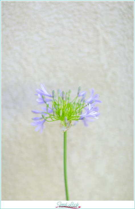 Photography Classes And Workshops