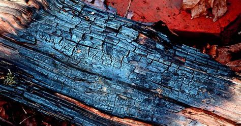 Char Imgur Char Imgur