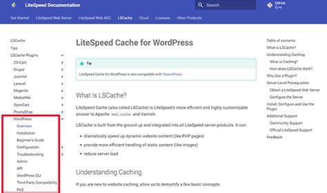 LiteSpeed Cache Vs WP Rocket Which One Is Better