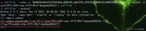 [青少年ctf] misc wp 二 原sher csdn博客