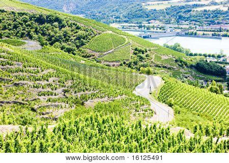 Grand Cru Vineyards Image And Photo Free Trial Bigstock