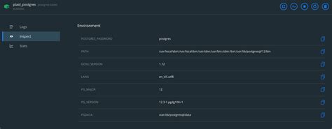 Java Wiring Up Pre Existing Docker Container Running Postgres With