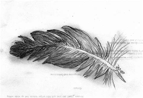 Eagle Feather Drawing By Judith Victoria Douglas