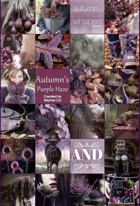 Pin By Marilyn Sletten On Diy And Crafts Color Collage Mood Colors Beautiful Collage