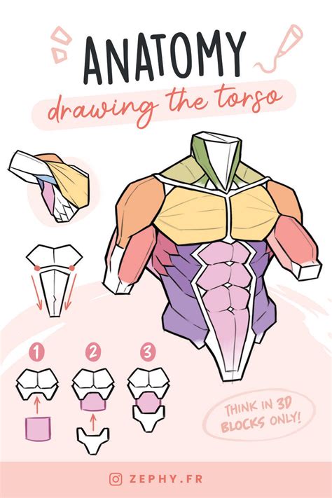 Drawing Legs Anatomy Tutorial Artofit