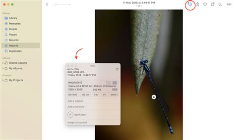 How To Access And View Exif Data On Different Devices And Software