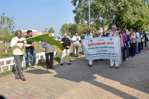 Icar Icarcafri Icar Cafri Jhansi