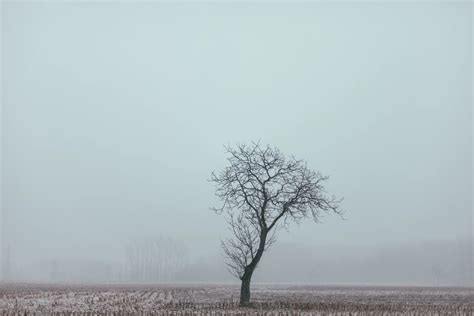 Archlinux 安装教程 · Earlのblog