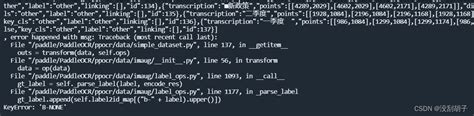 paddleocr关键信息抽取 kie 的训练 ser训练和re训练 错误汇总 paddleocr re csdn博客