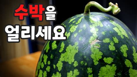 눈 깜짝 할 사이에 더위가 사라집니다 Youtube