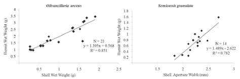 loxopagurus loxochelis linear regressions between hermit wet weight