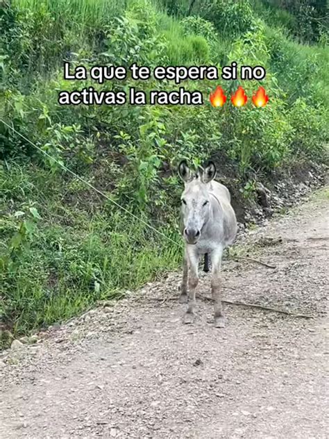 سولاخی دات کام