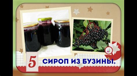 Сироп из черной бузины от простуды и гриппа для детей и взрослых-делаем ...