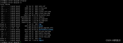 Mysql数据库：迁移数据目录至另一台服务器步骤网络安全运维 Csdn专栏