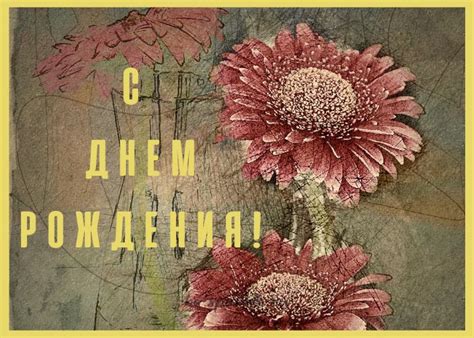 Открытки с Днем Рождения без пожеланий