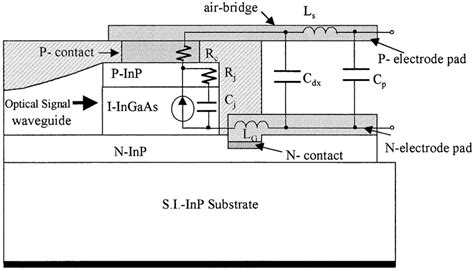 A Schematic Structure B Cross Section Of A Side Illuminated Download Scientific Diagram