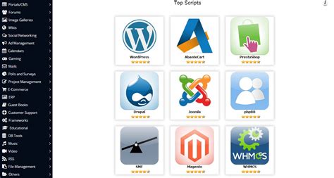 Unlimite SSD CPanel Web Hosting For Year All Inclusive Free Test For SEOClerks