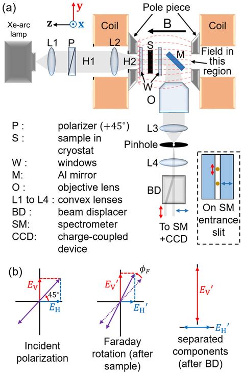 Schematic Of The Faraday Rotation Spectroscopy Setup A Schematic