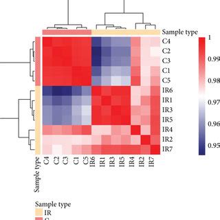 Sample Hierarchical Clustering Analysis Based On The Gene Expression