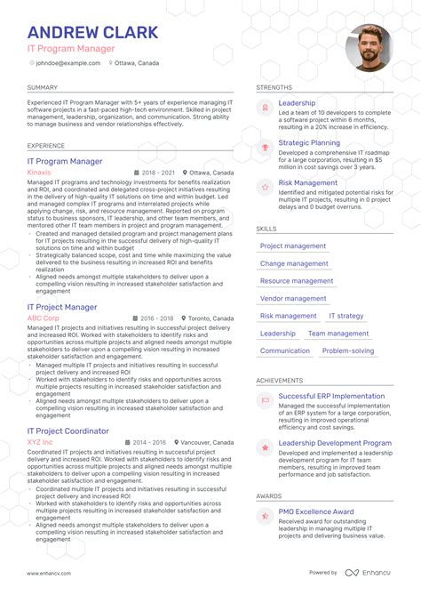 Program Manager Resume Examples Guide For