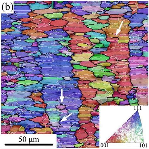 Ebsd Derived Ipf Maps For Compression Sample 2 With Different Strains