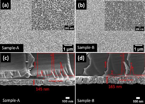 SEM Micrographs Of A Sample A And B Sample B Crosssectional SEM Of Download Scientific