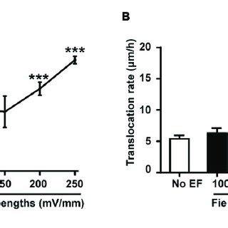 Voltage Dependence Of Ef Directed Migration And Enhanced Migration Download Scientific