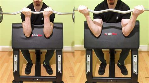 Scott Curl Tutorial Dumbbell Barbell And Cable Scott Curl Tutorial Dumbbell Barbell And Cable