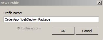 Asp Net Mvc Publish With Web Deploy Package Tutlane