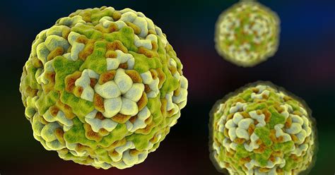 Bio Rad Laboratories On Linkedin Development Of A Multiplex Droplet Digital Pcr Assay For