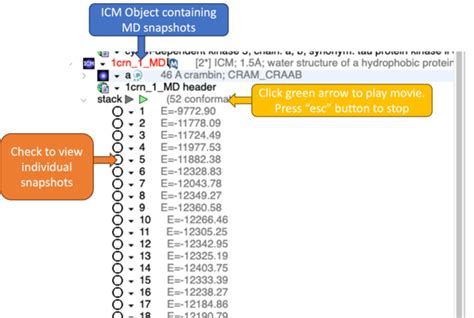 Icm Users Guide Molecular Dynamics