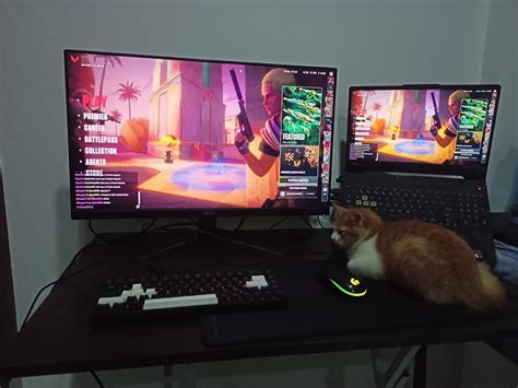 rate my setup also she s a very good game assistant r indiangaming