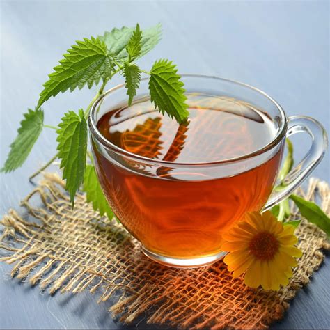 Té de perejil y menta la infusión para depurar el hígado Mujerhoy
