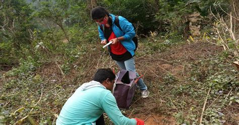 Application Of GIS In Forest Management Forest Management Research