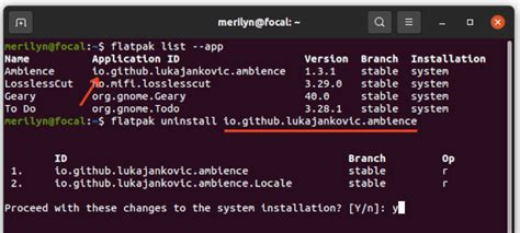 How To Completely Remove Flatpak Apps And Free Up Disk Spaces In Linux Fostips