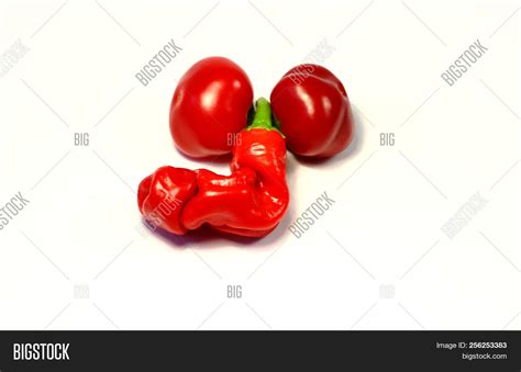 Two Types Red Chili Image Photo Free Trial Bigstock