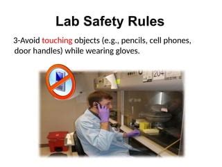 Laboratorysafety 151021173712 Lva1 App6891 Pptx